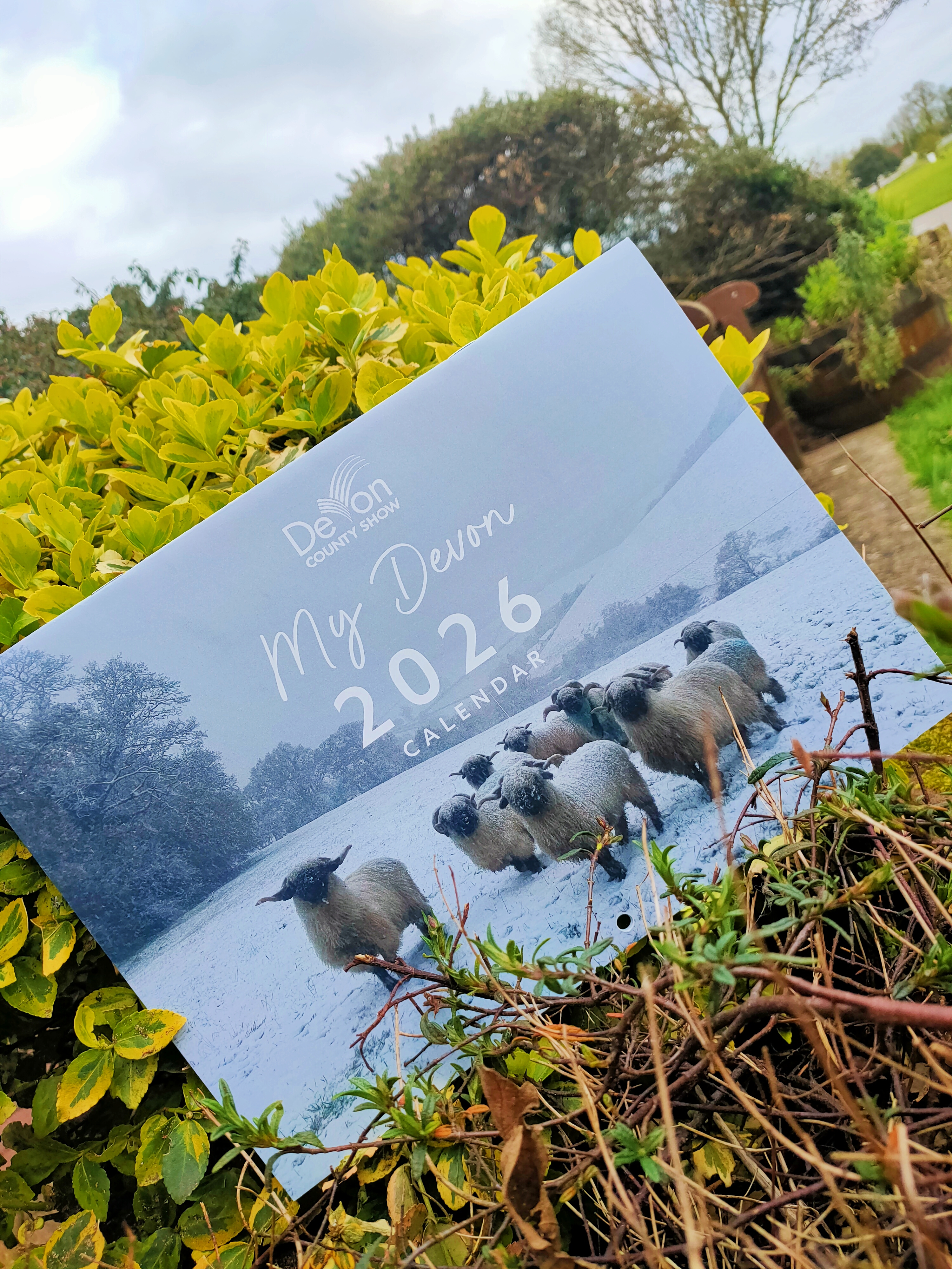 News from the Show Office - April 2026 - Devon County Show